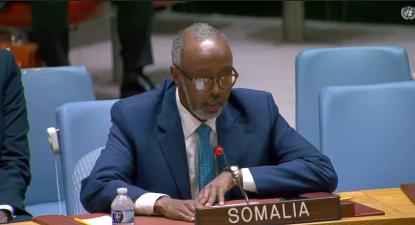 Somalia declares firm stance on Palestine at UN Security Council | SONNA