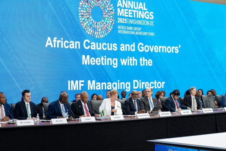 Somali Finance Minister Addresses Climate Impact at IMF/World Bank ...