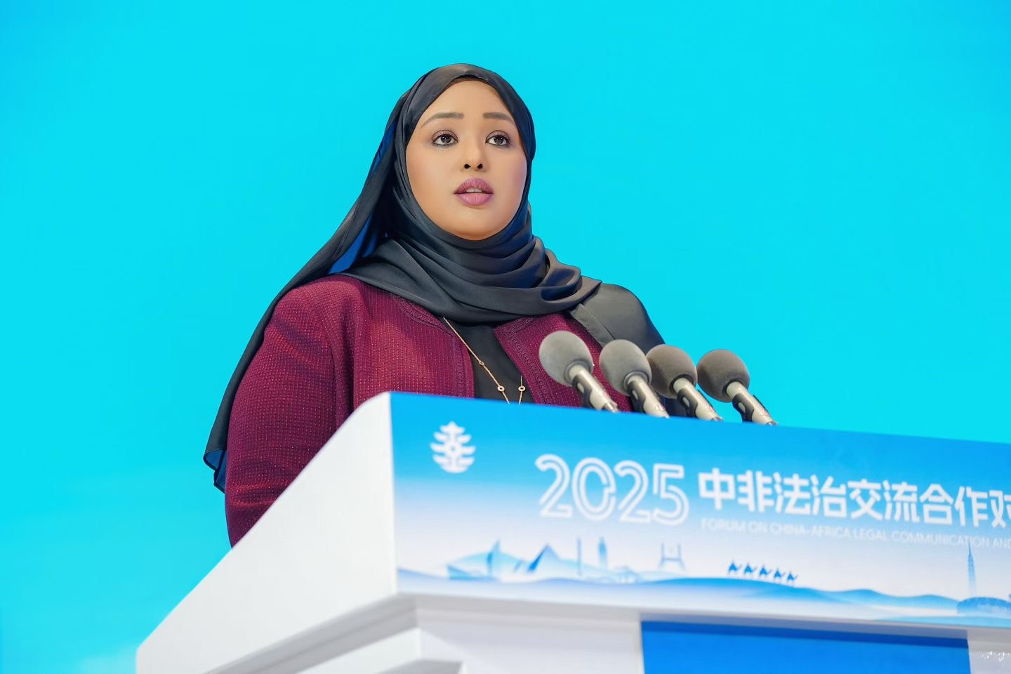 Somalia’s Ambassador to China Delivers Opening Remarks at the 2025 ...
