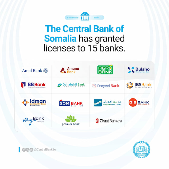 Central Bank of Somalia Issues 15 Licenses to Local And Foreign Banks ...