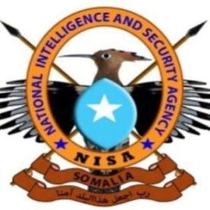 Somali Intelligence Agency intercepts 79 tonnes of sulfuric acid, makes ...