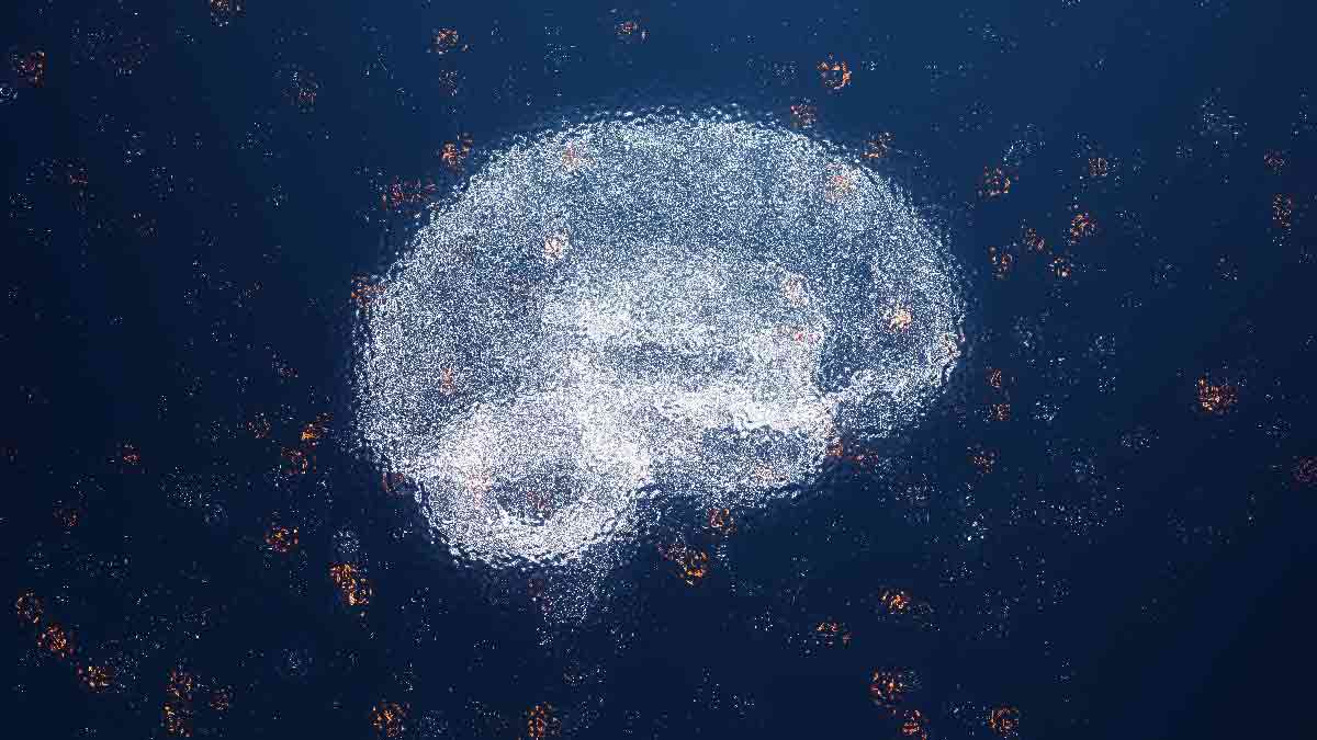 Astronomers Find Shell Structures in Milky Way Galaxy – Somali National ...