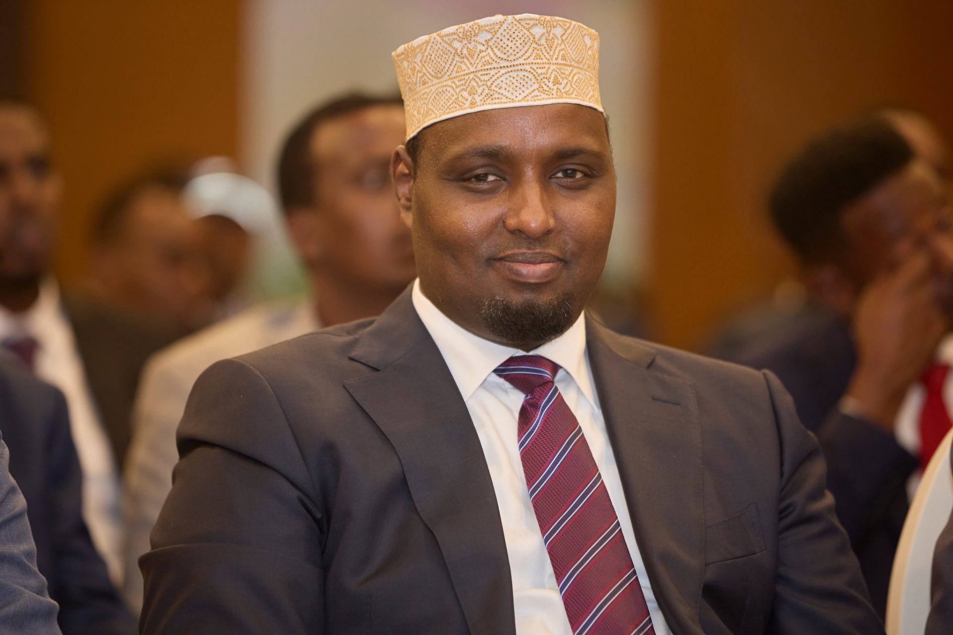 Somali PM Launches Multi-Million Dollar Prosperity Project – Somali ...
