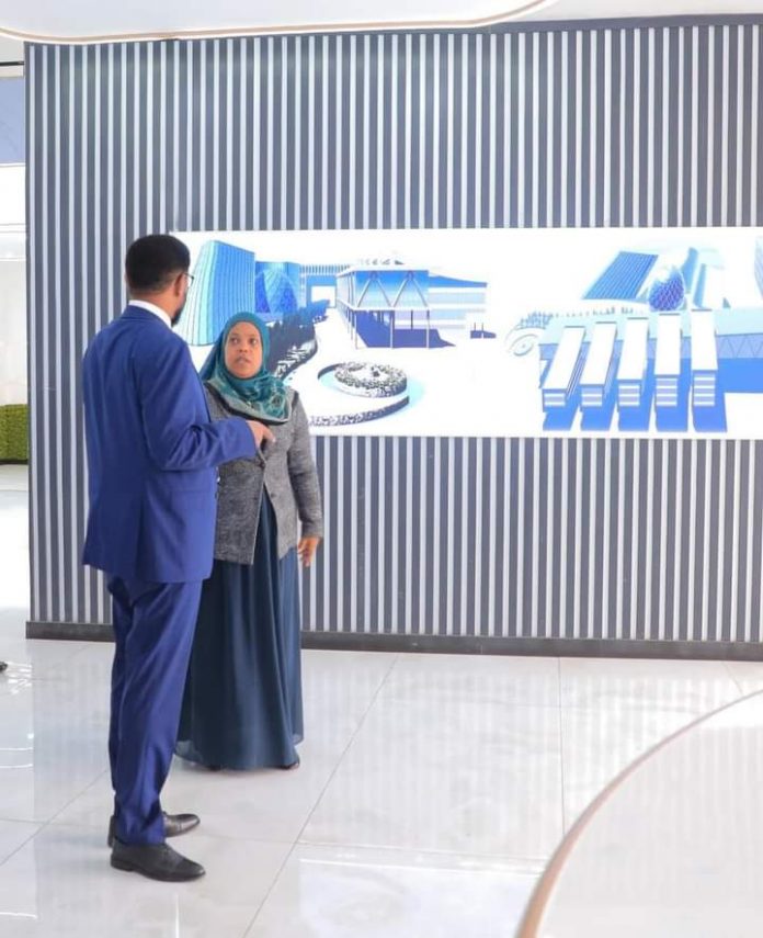 Somali Minister of Labor meets Ethiopian Minister of Labor and Skills ...