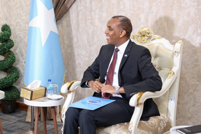 PM Hamza Abdi Barre Meets with UN Special Representative for Somalia ...