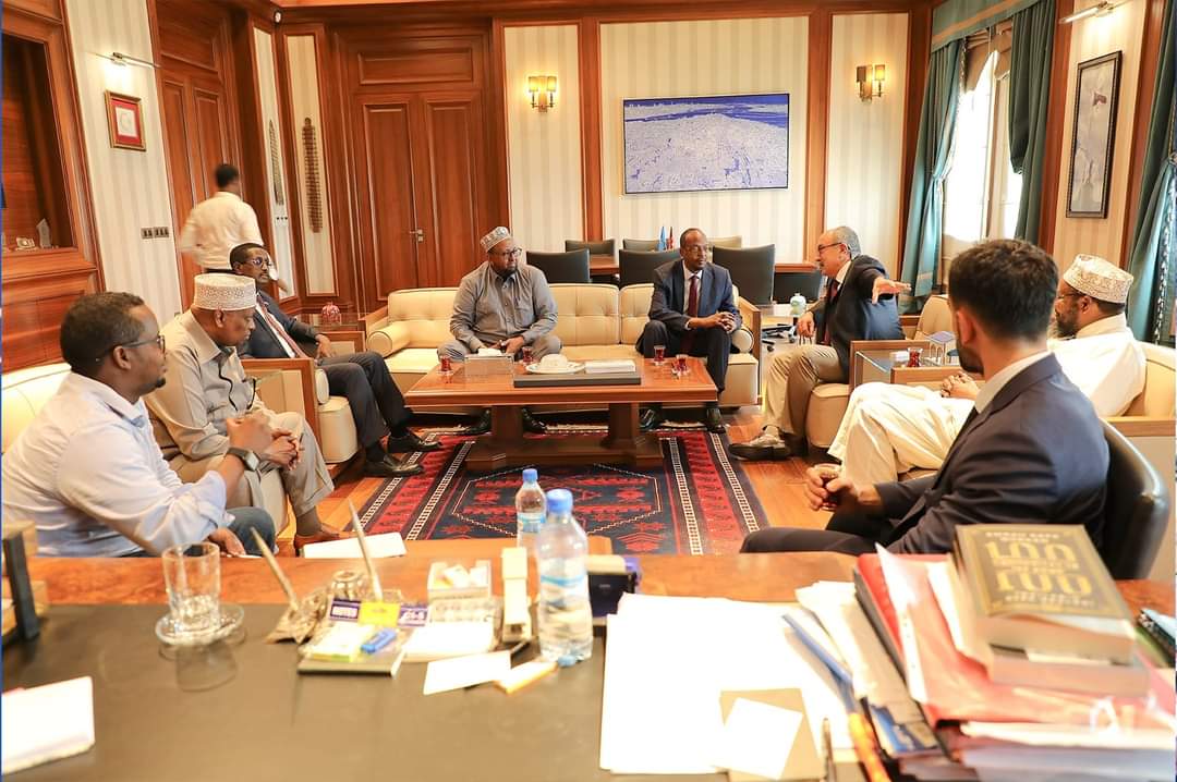 Somali and Turkish companies sign agreement on electricity generation ...