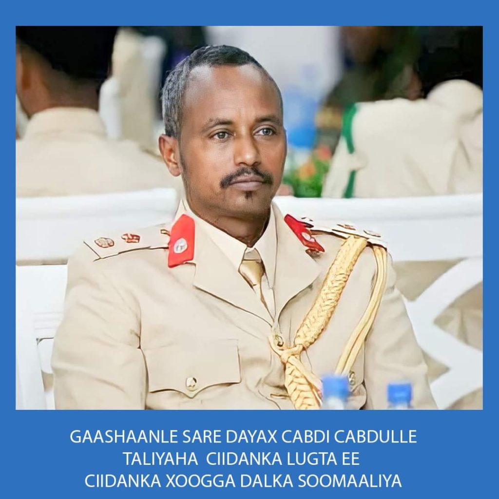 Somali President reshuffles army leadership, promotes new commander ...