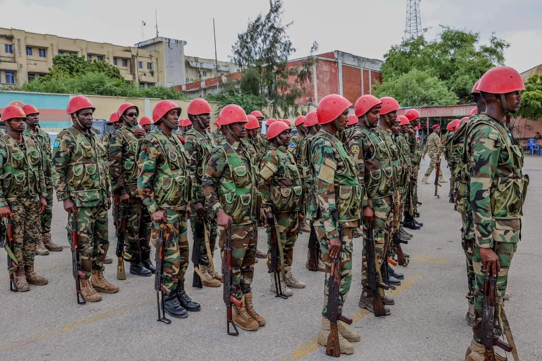 Somali Army Assumes Security of Presidential Palace After 16 Years of ...
