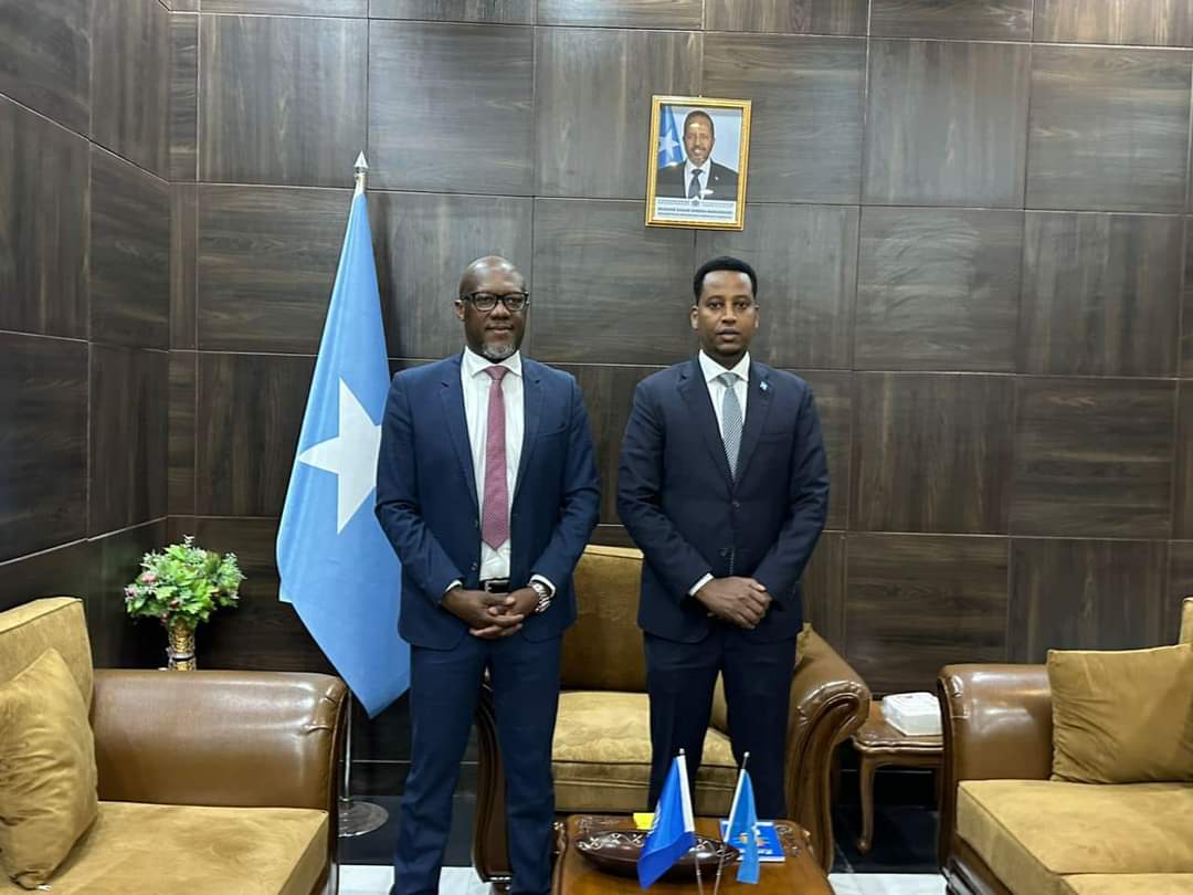 Deputy Foreign Minister receives the credentials of the newly appointed ...