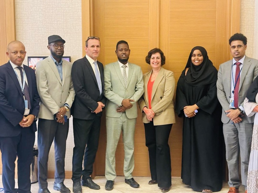 State Minister of Labour meets Deputy head of FAO in Somalia – Somali ...