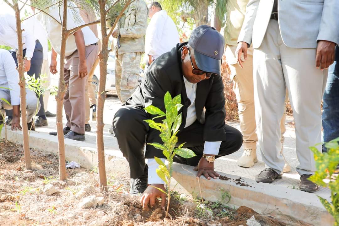 Foreign Affairs Minister Takes Action with Planting of 2,000 Trees for ...
