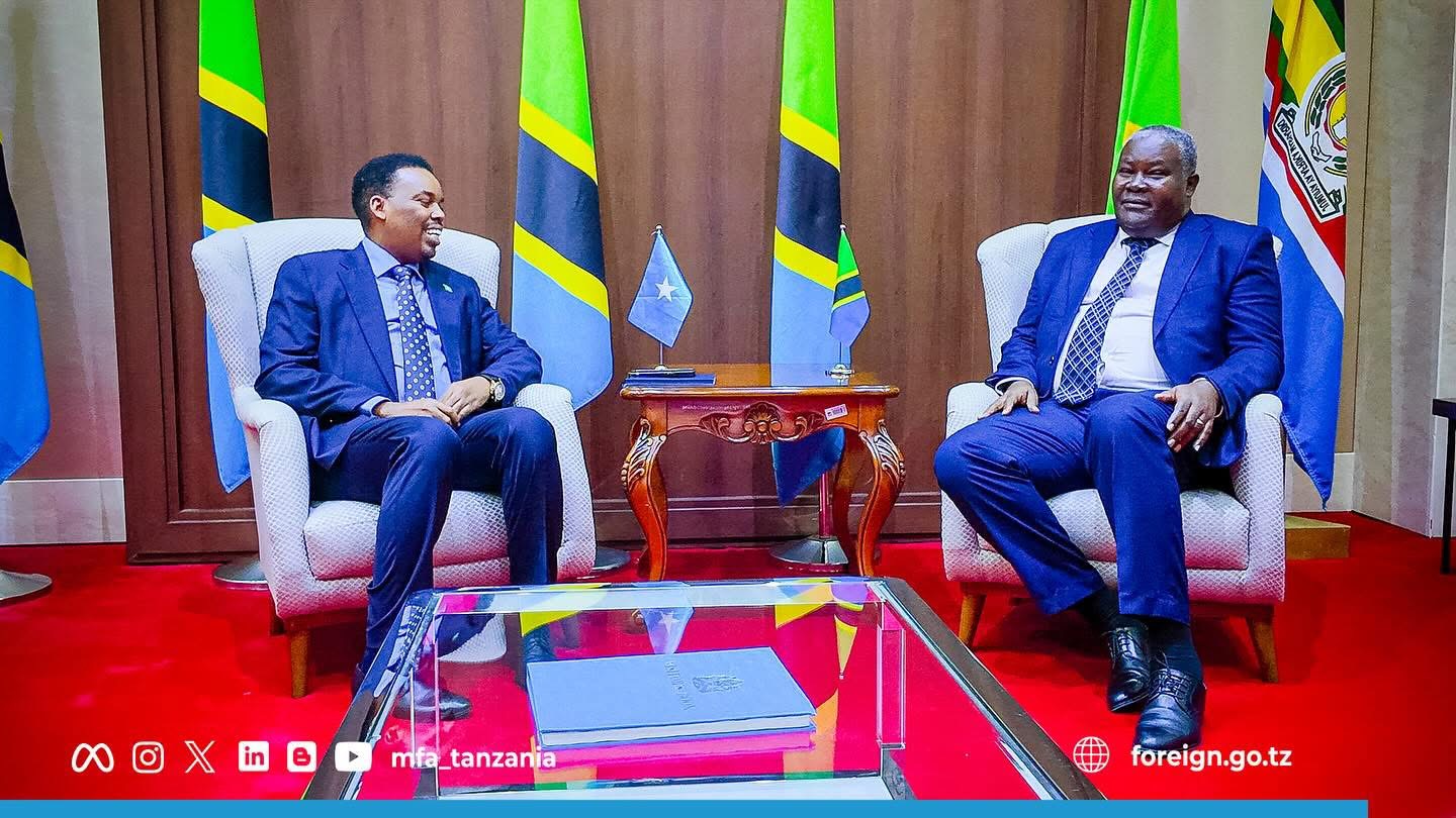 Somalia, Tanzania discuss expediting visa issuance for Somali citizens ...