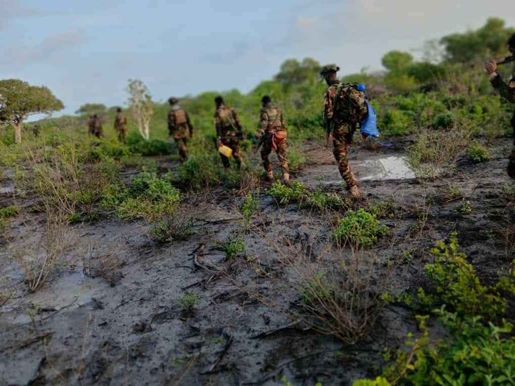 Somali National Army and Jubbaland Forces Eliminate Over 25 Militants ...