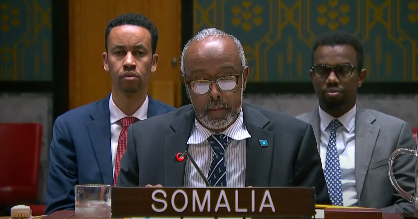 Somalia’s Resolute Stand at UN Security Council’s 10,000th Meeting ...