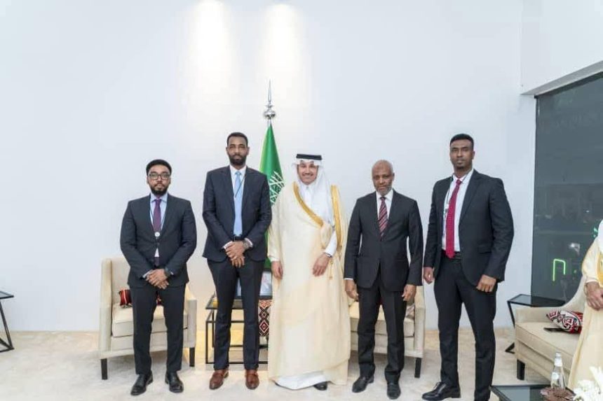 Somalia and Saudi Arabia Discuss Launching Direct Flights and Boosting ...