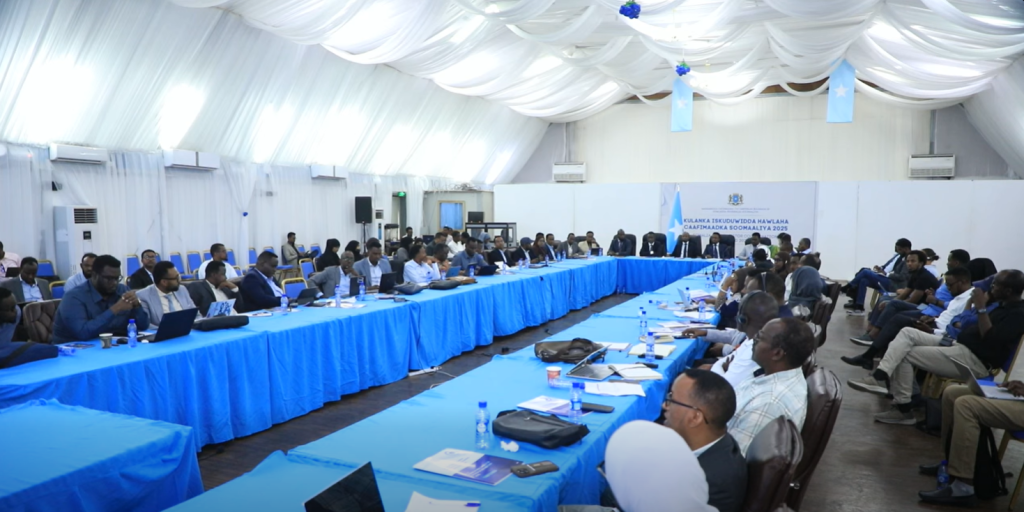 Somalia’s Health Sector Officials Unveil Five-Year Plan for Unified ...