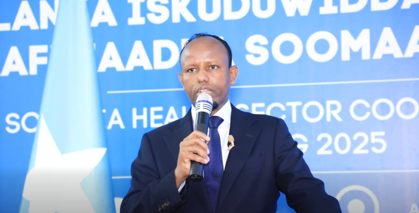 Somalia’s Health Sector Officials Unveil Five-Year Plan for Unified ...