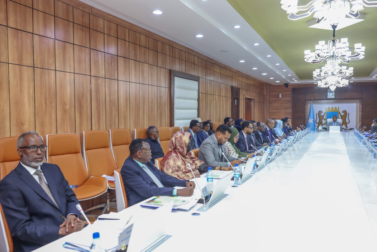 Council of Ministers Approves Comprehensive Revision of Somali Penal ...